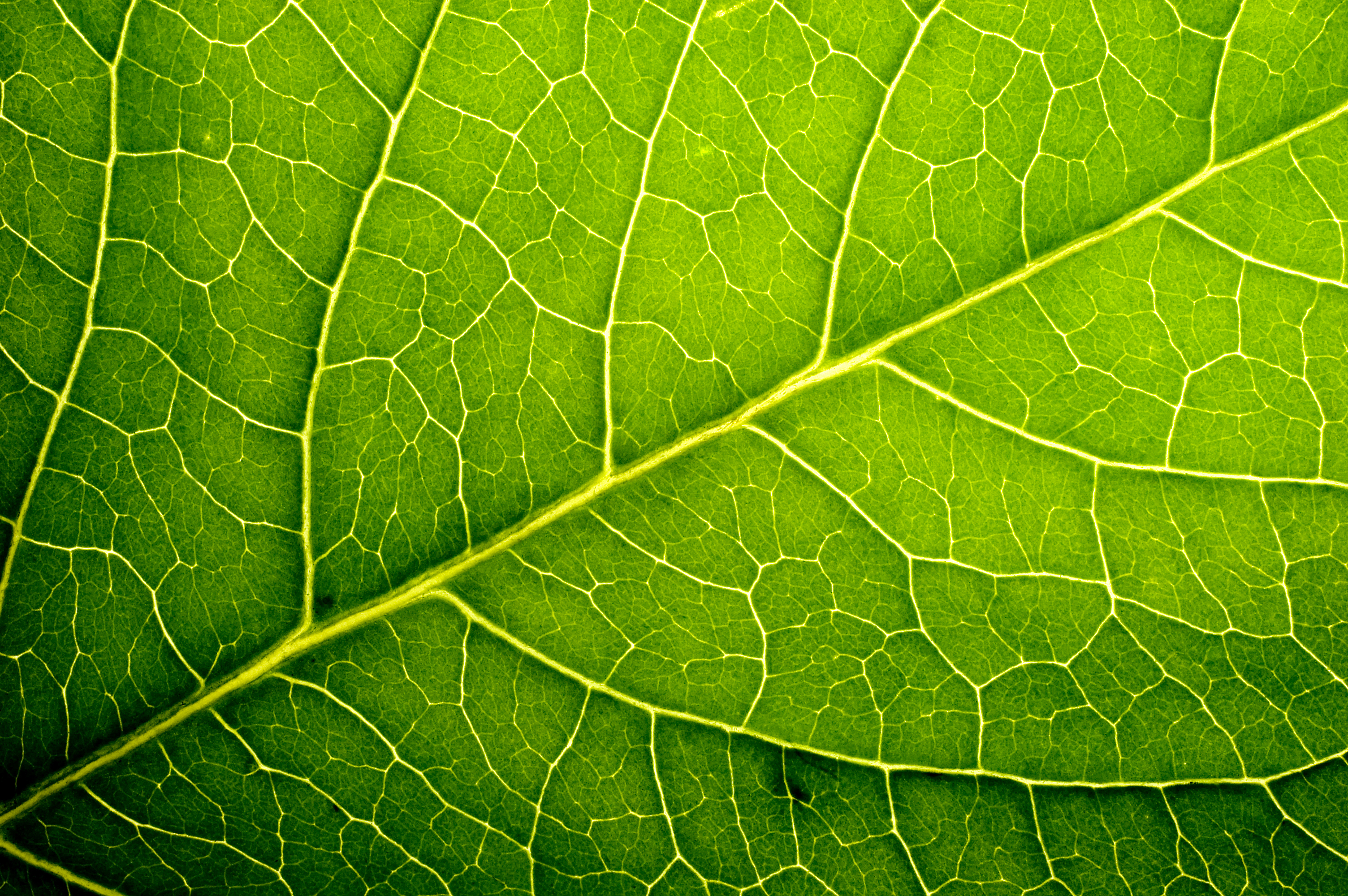 Plant Growth Core Lab plant-growth-core-lab